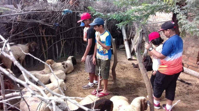 JDH : Bishnoi Village Safari With Overnight Stay in Village - Authentic Experiences and Cultural Value