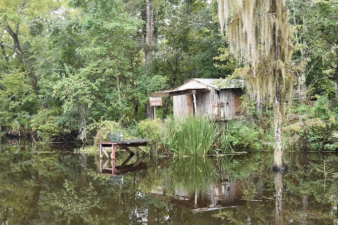 Jean Lafitte 90-Minute Swamp and Bayou Boat Tour - Accessibility and Practicalities