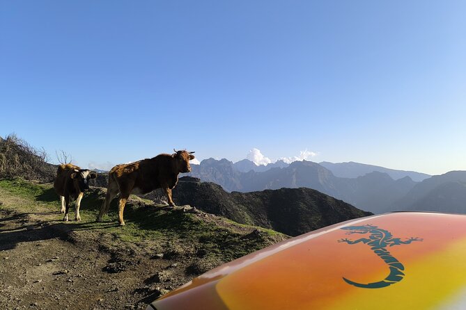 Jeep Adventure to Volcanic Pools & UNESCO Forest Treasures - Breathtaking Views From Girão Cape