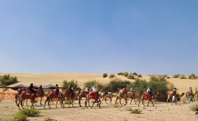 Jeep & Camel Ride, Musical Evening in The Desert Luxury Camp - Key Points
