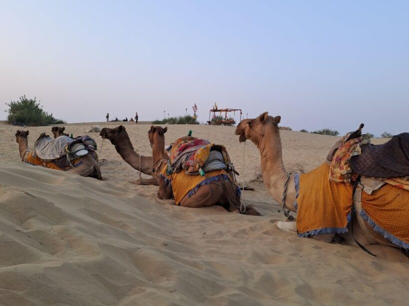 Jeep & Camel Ride, Musical Evening in The Desert Luxury Camp - Final Thoughts