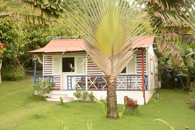 Jeep Jungle tour(Punta cana) - The Full Experience: What to Expect from This Day Trip