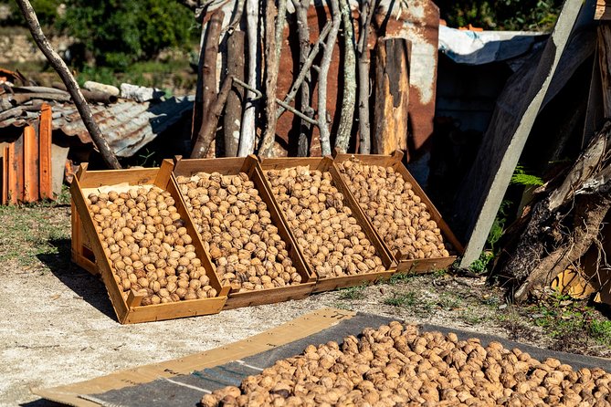 Jeep Safari #1 in Algarve - The Off-Road Experience: Adventure and Authenticity