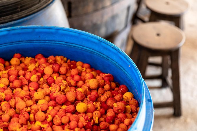 Jeep Safari #1 in Algarve - The Value: Is it worth it?