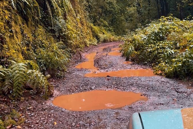 Jeep Safari 4x4 Madeira Pico areeiro, Santana, Ponta Sao Lourenço - Final Summary