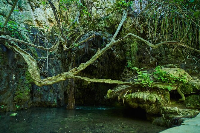 Jeep Safari Akamas From Paphos - Alternative Exploration Options