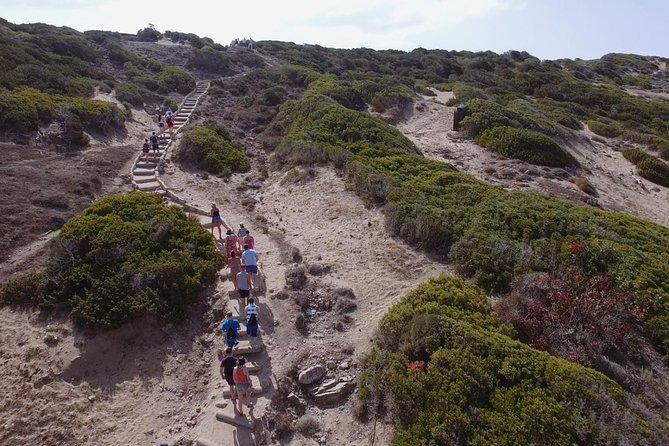 Jeep Safari Akamas From Paphos - Overall Experience and Recommendations