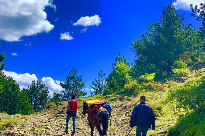 Jeep Safari Berat Hiking Caravan Mule in Tomori Holy Mount - Reviews and Ratings