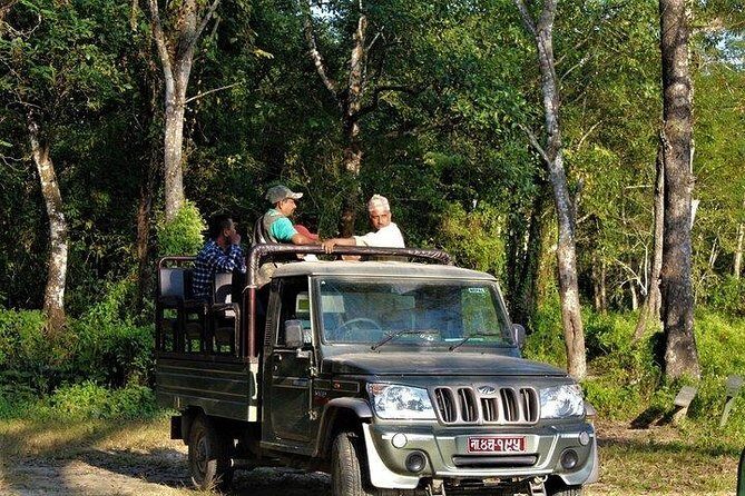 Jeep Safari in Chitwan National Park - Exploring the Chitwan Experience in Depth
