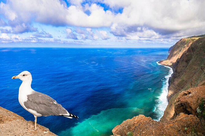 Jeep Safari in Southwest, Calheta and Ponta do Sol Full Day Tour - Who Should Consider This Tour?