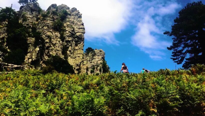 Jeep Safari in Thassos Mountain - Key Points