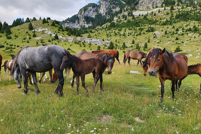 Jeep safari Prenj - Key Points
