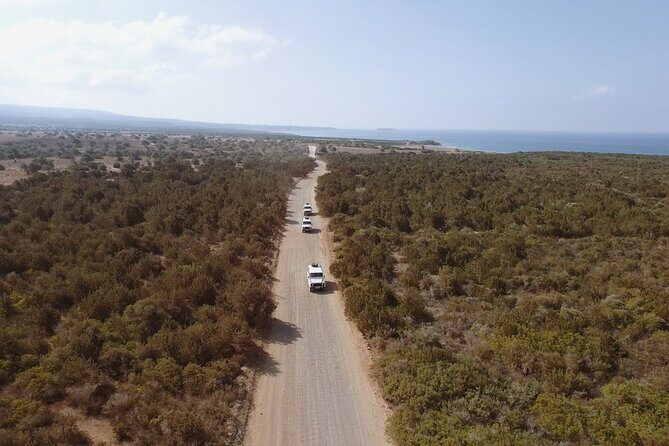 Jeep Safari to Akamas from Limassol - An In-Depth Look at the Jeep Safari to Akamas