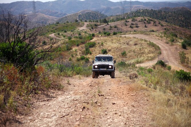 Jeep Safari to Akamas National Park: Avakas Gorge Tour From Paphos - Additional Attractions