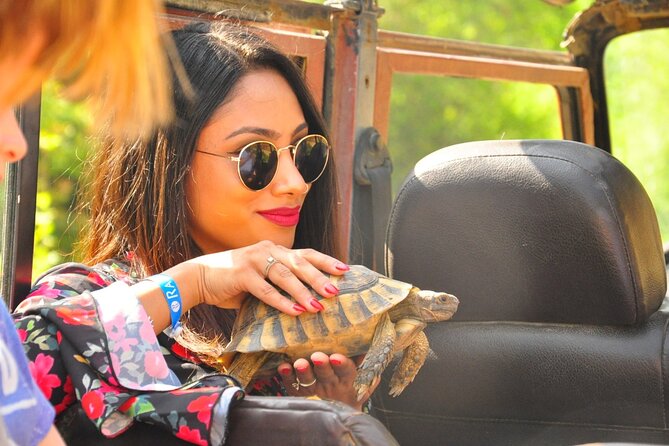 Jeep Safari to National Park From Kusadasi Port / Hotels - Key Points