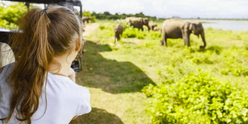 Jeep Safari to Udawalawa National Park from Colombo - What You Can Expect from the Safari