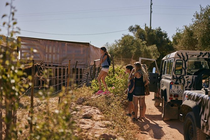Jeep Safari Tour - Full Day - The Experience and Group Dynamics