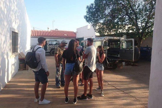 Jeep Safari Tour - Half Day - Taking in Local Culture and Traditions