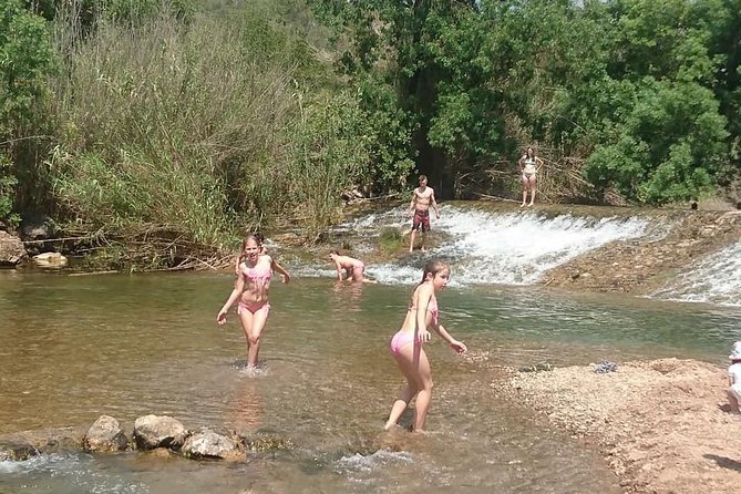 Jeep Safari Tour - Half Day - Savoring the Flavors of Portugal