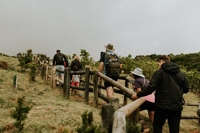 Jeep Safari Tour - Terceira Island FD - Exploring the Laurissilva Forest