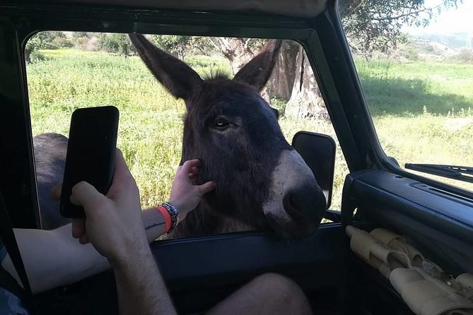 Jeep Safari Troodos - Kykkos Monastery Waterfall and Venetian Bridge From PAPHOS - Exploring Kykkos Monastery