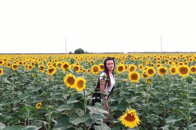 Jeep Safari Varna, Albena, Golden Sands & Kranevo - Picnic Lunch With Traditional Bulgarian Flavors