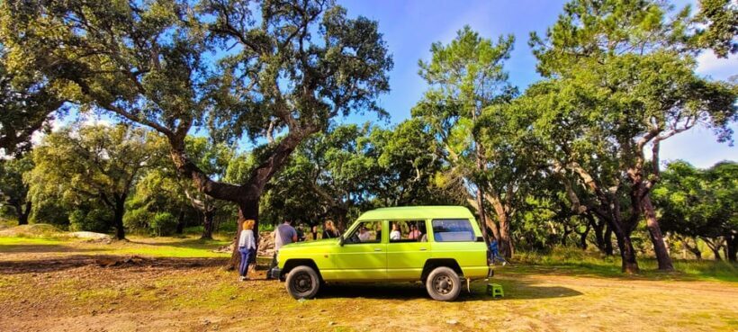 Jeep Safari with Winery Visit & Wine Tasting included - Who Should Consider This Tour?