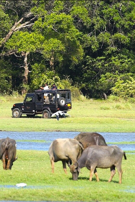 Jeep Safario to Minneriya/Kaudulla/Hurulu Eco National Parks - FAQ