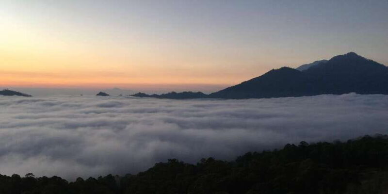 Jeep sunrise activity and coffee plantation - The Sum Up: Who Should Consider This Tour?