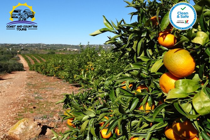 Jeep Sunset by the Algarve Mountains - Introduction to the Jeep Sunset Tour