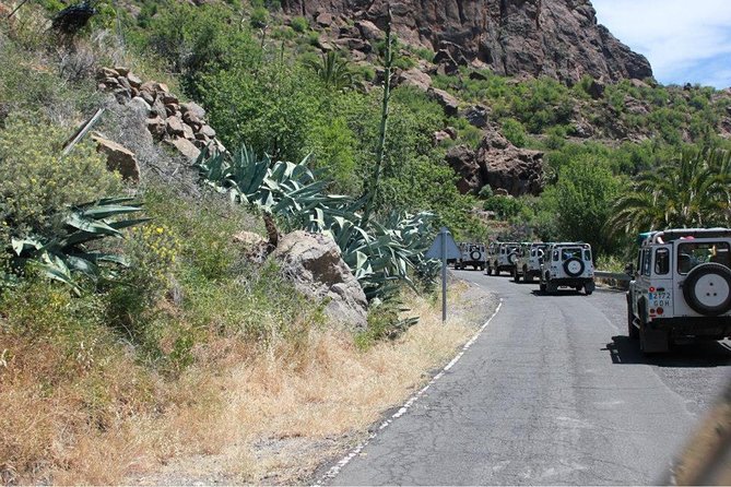 Jeep Tour 4x4 in Gran Canaria - Customer Feedback and Experiences