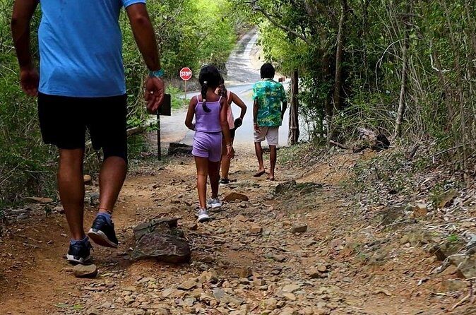 Jeep Tour and Hiking Adventure A Thrilling Experience - Final Thoughts