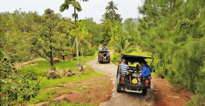 Jeep Tour Koh Samui Jungle Safari Full Day Adventure - Authentic Experiences and Practical Tips