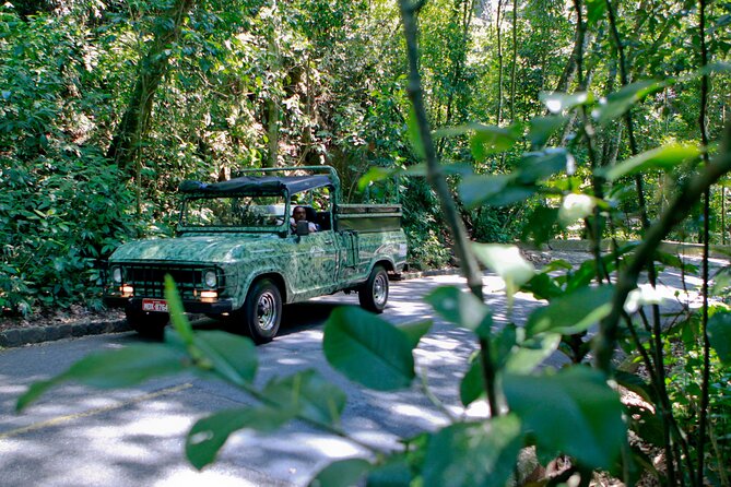 Jeep Tour - Tijuca Tropical Forest - Tour Overview
