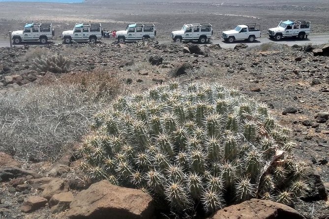 Jeep Tour to Cotillo and Northern Area of Fuerteventura - Final Thoughts: Who Will Appreciate This Tour?