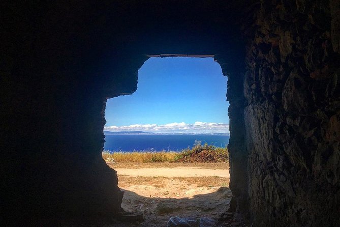 Jeep Tour to Espichel Cape Mysteries & Wild Beaches - Encountering Local Wildlife and Landscapes