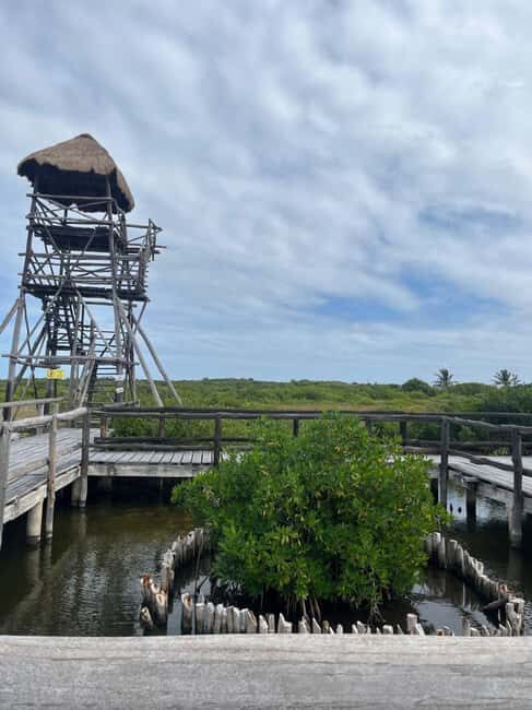 Jeep Tour to Punta Sur Eco Beach Park with Lunch - What to Expect from the Jeep Tour Experience