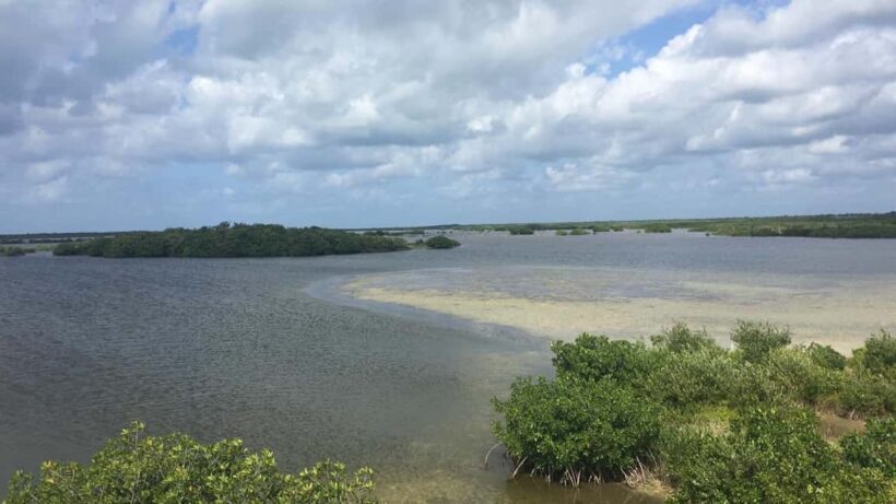 Jeep Tour to Punta Sur Eco Beach Park with Lunch - Final Thoughts: Is This Tour Worth It?
