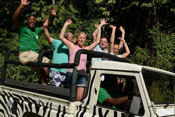 Jeep & Zip Safari St. Lucia From Castries - The Experience in Detail