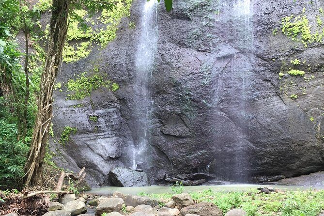 Jeep & Zipline Adventure in St. Lucia - An In-Depth Look at the Jeep & Zipline Adventure in St. Lucia