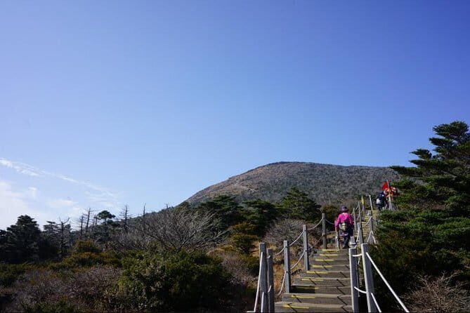 Jeju Airport Private Transportation Service - One way - Who Is This Service Best For?