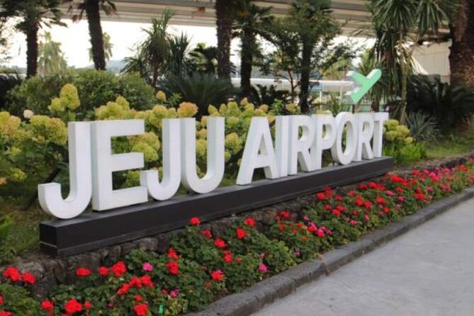 Jeju Airport Transfer - Why This Transfer Is Worth Considering