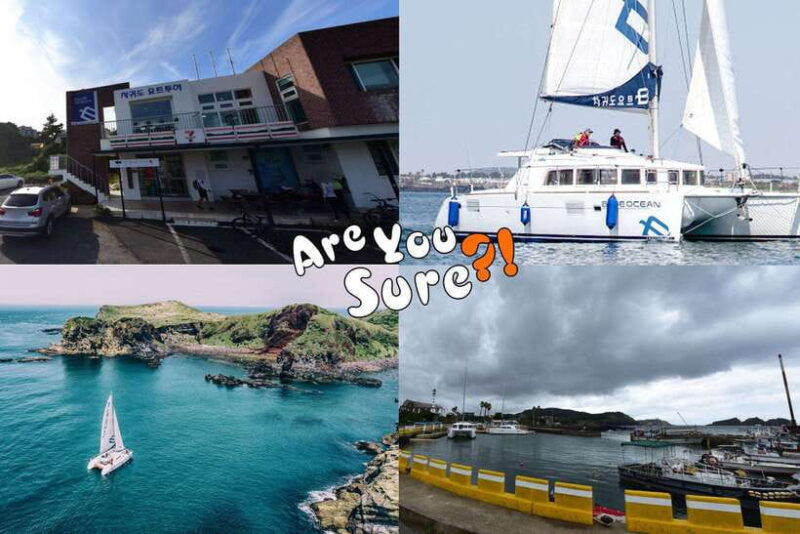 Jeju: BTS Are You Sure?! Filming Locations Private Taxi Tour - A Deep Dive into the Experience