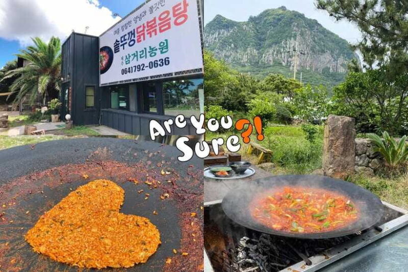 Jeju: BTS Are You Sure?! Filming Locations Private Taxi Tour - Who Should Consider This Experience?