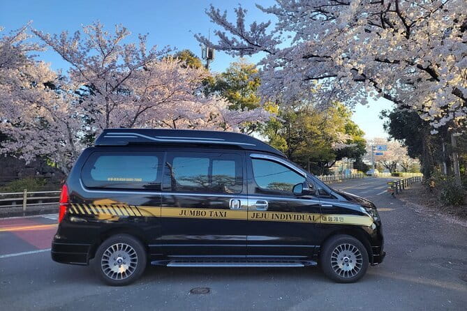 Jeju BTS & K-drama Small Group Day Tour including Snoopy Garden - Frequently Asked Questions