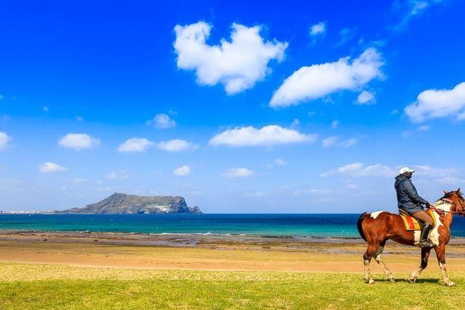 Jeju Canola blossoms festival -horse riding-folk village tour - Introduction