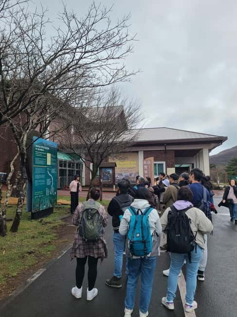 Jeju: Cherry Blossom South & West Day Tour with Hotel Pickup - Who Should Consider This Tour?