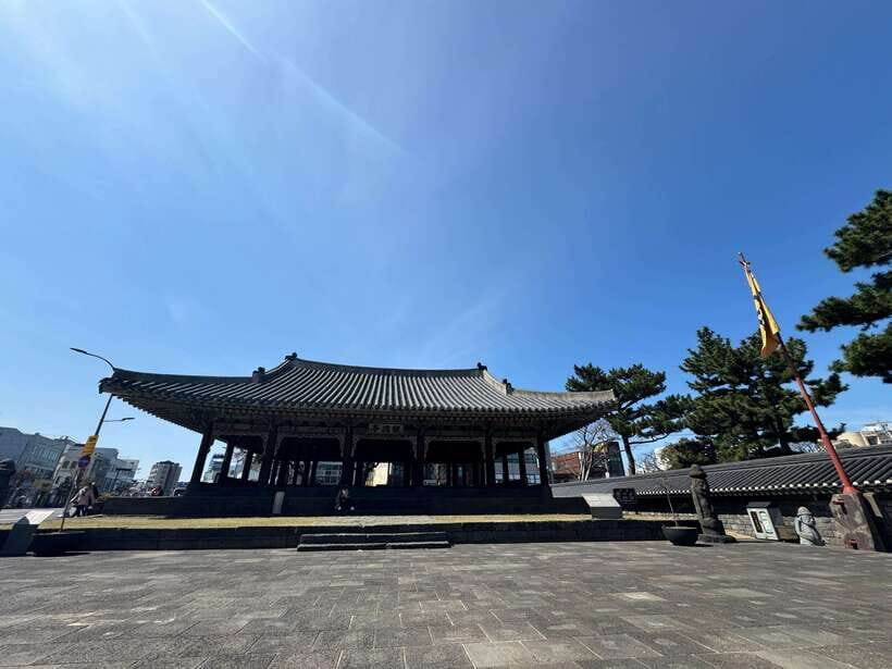Jeju city walking tour with a certified guide - Final Thoughts: Who Will Love This Tour?
