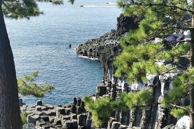 Jeju Cruise Ship gangjung Port private tour for 1 to 13 3 tours - What You Can Expect from the Experience