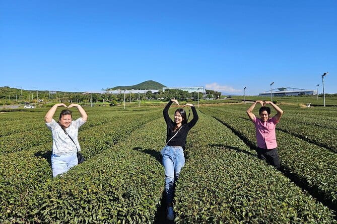 Jeju Customize Private VAN Tour of East or West or South (~8pax) - Frequently Asked Questions